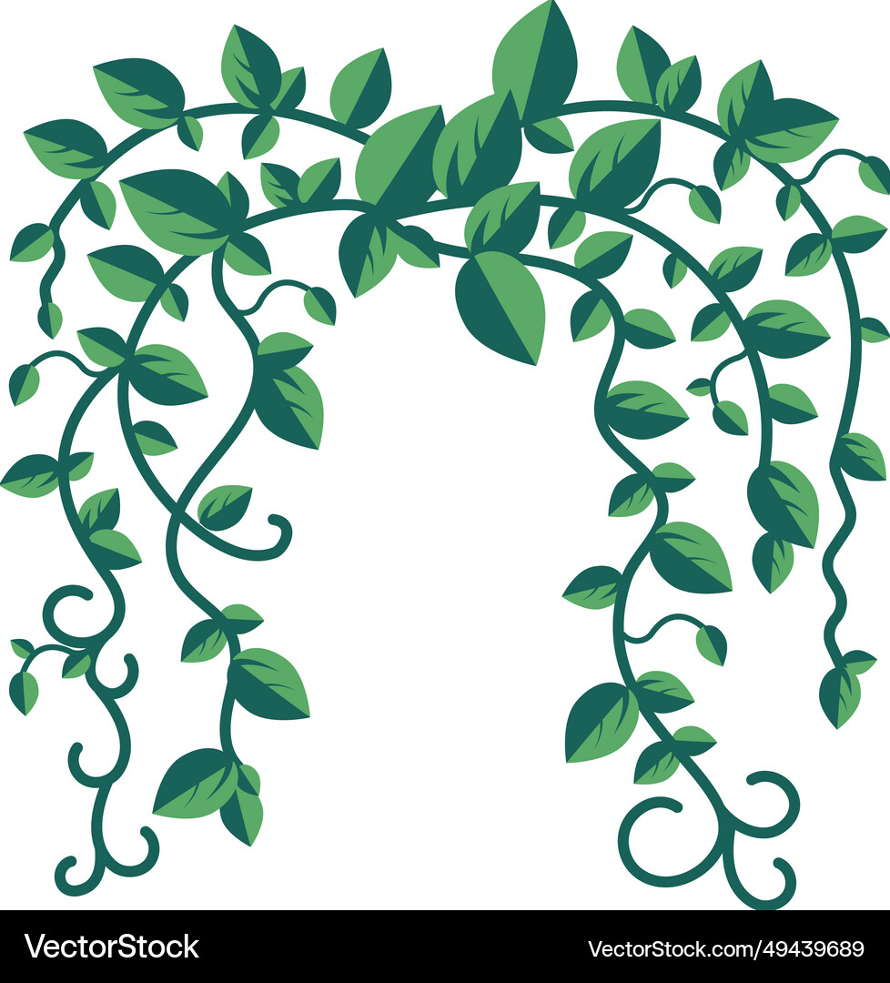 Simple liana branch leaves Royalty Free Vector Image