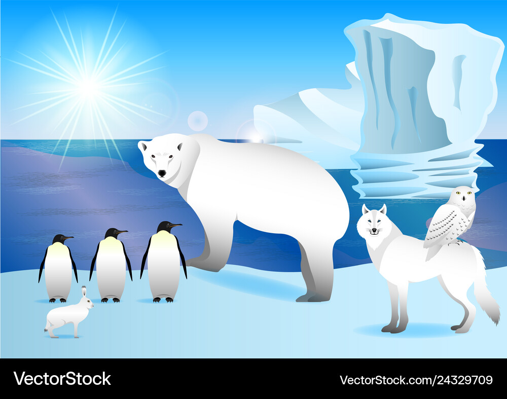 Arctic animals on the shore ocean Royalty Free Vector Image