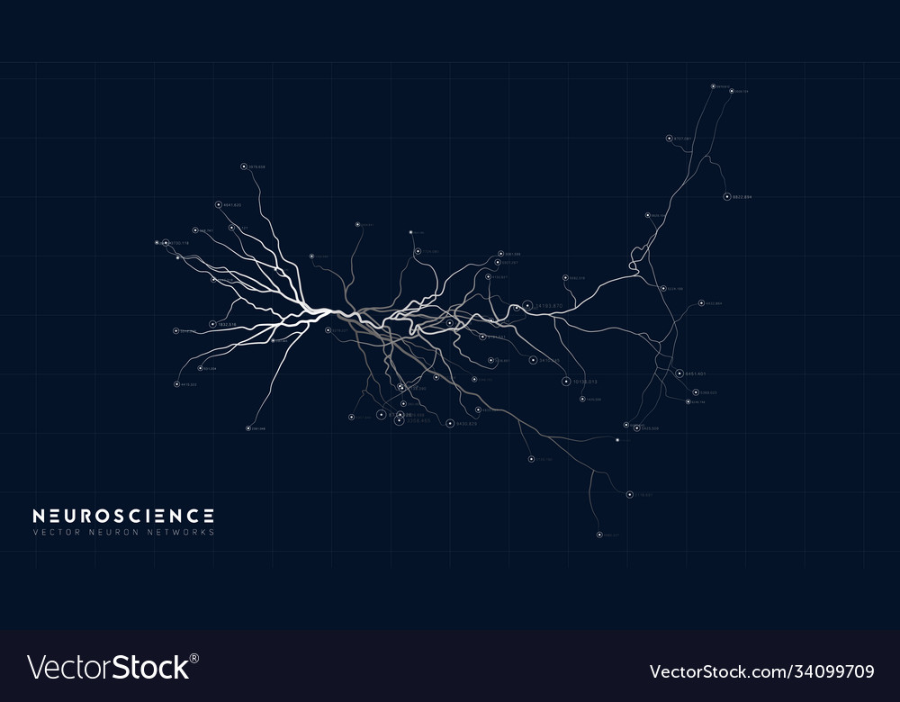 Neuron system model neural net structure Vector Image