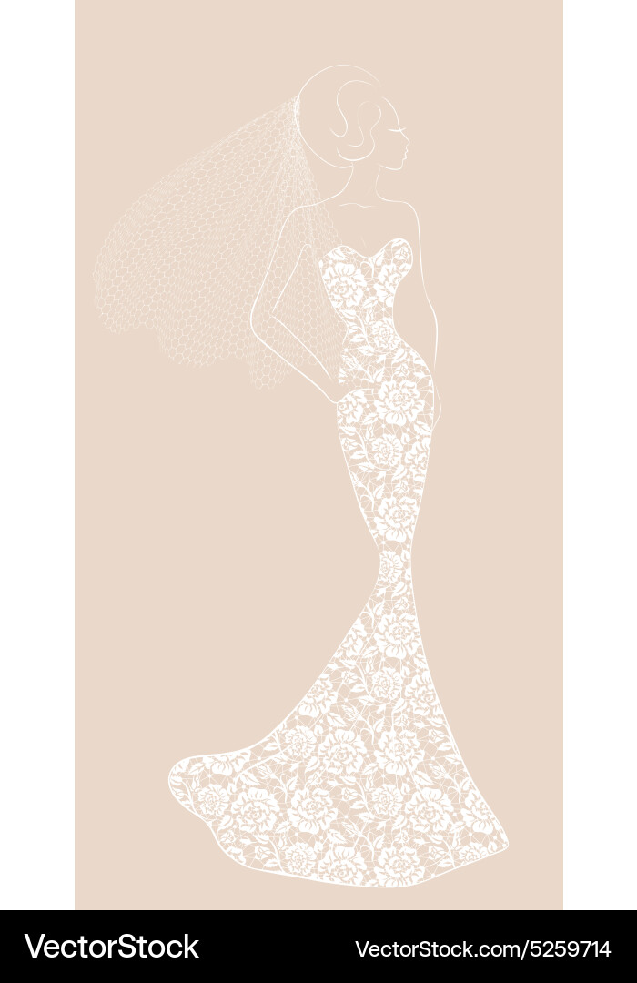 Bride with veil Royalty Free Vector Image - VectorStock