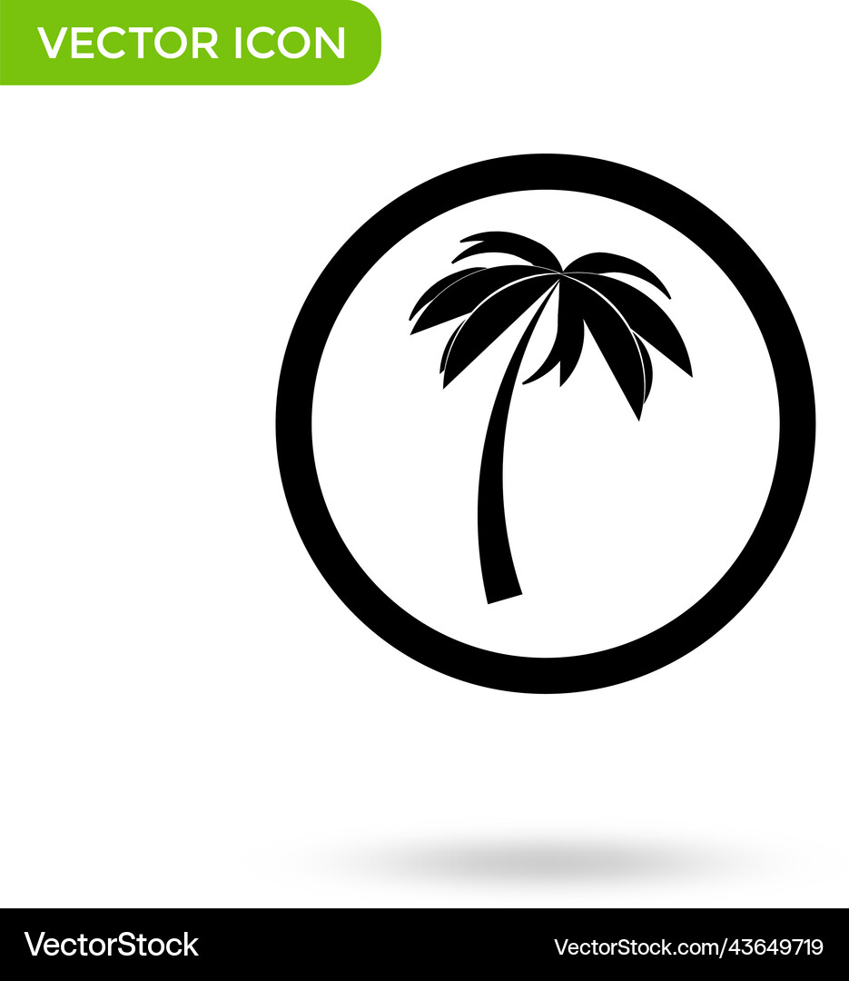 Palm tree icon minimal and creative icon isolated Vector Image