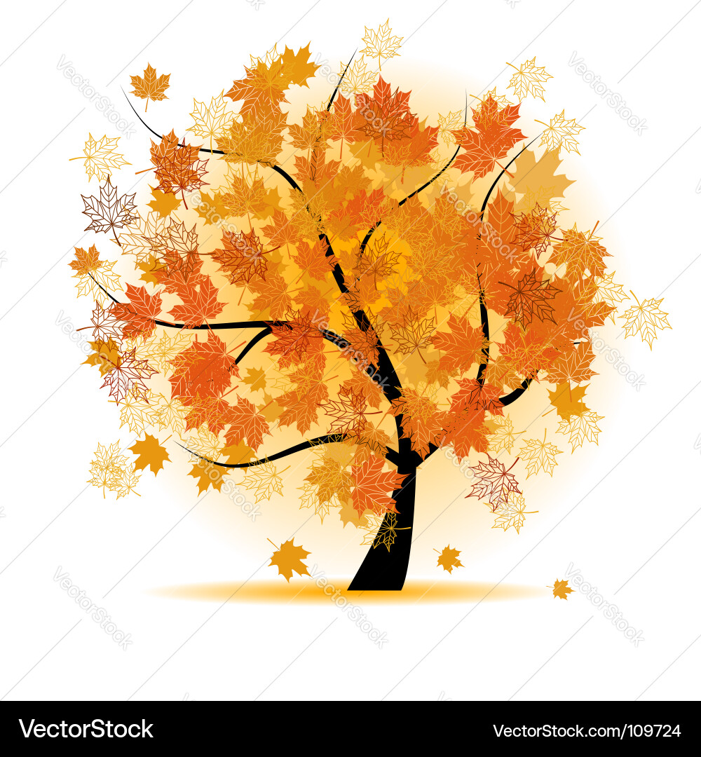 Maple tree autumn leaf fall Royalty Free Vector Image