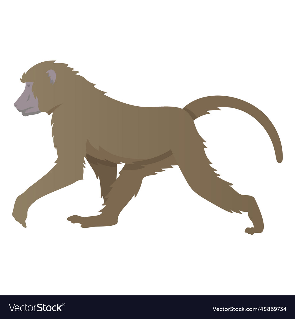 Guinea baboon Royalty Free Vector Image - VectorStock