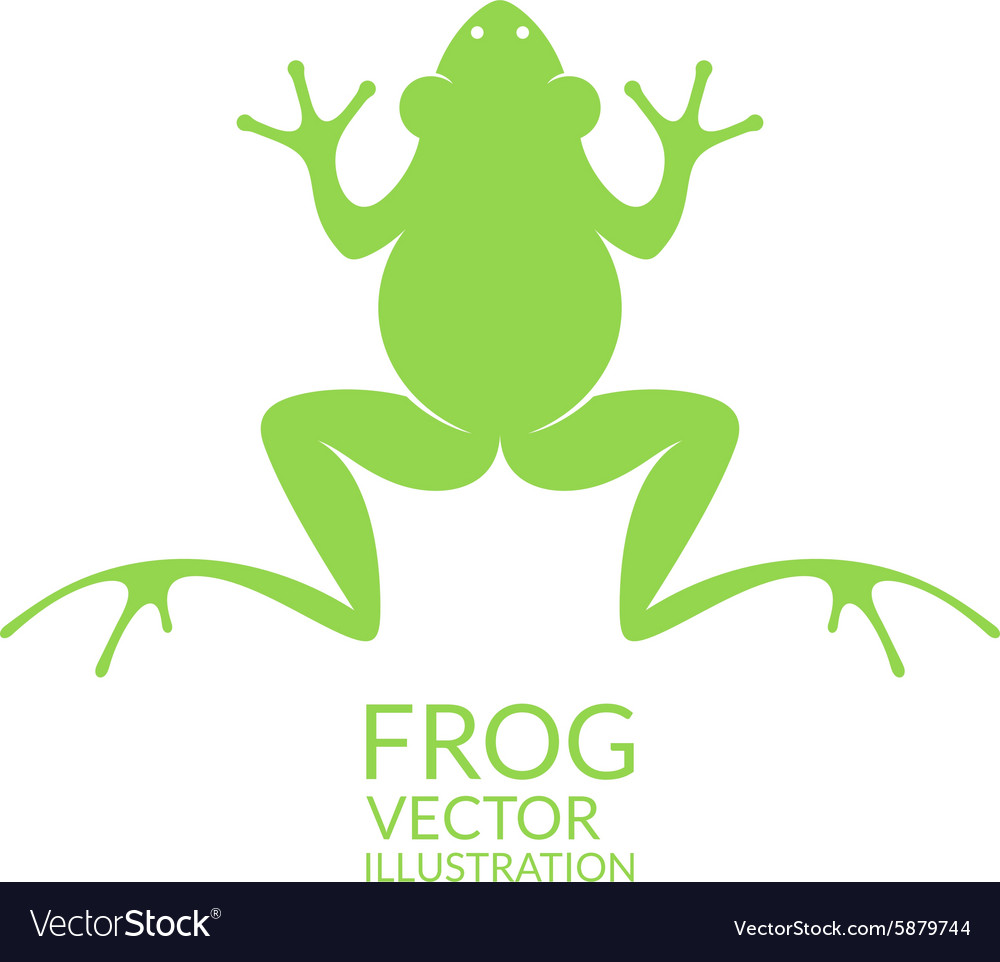 Frog Royalty Free Vector Image - VectorStock