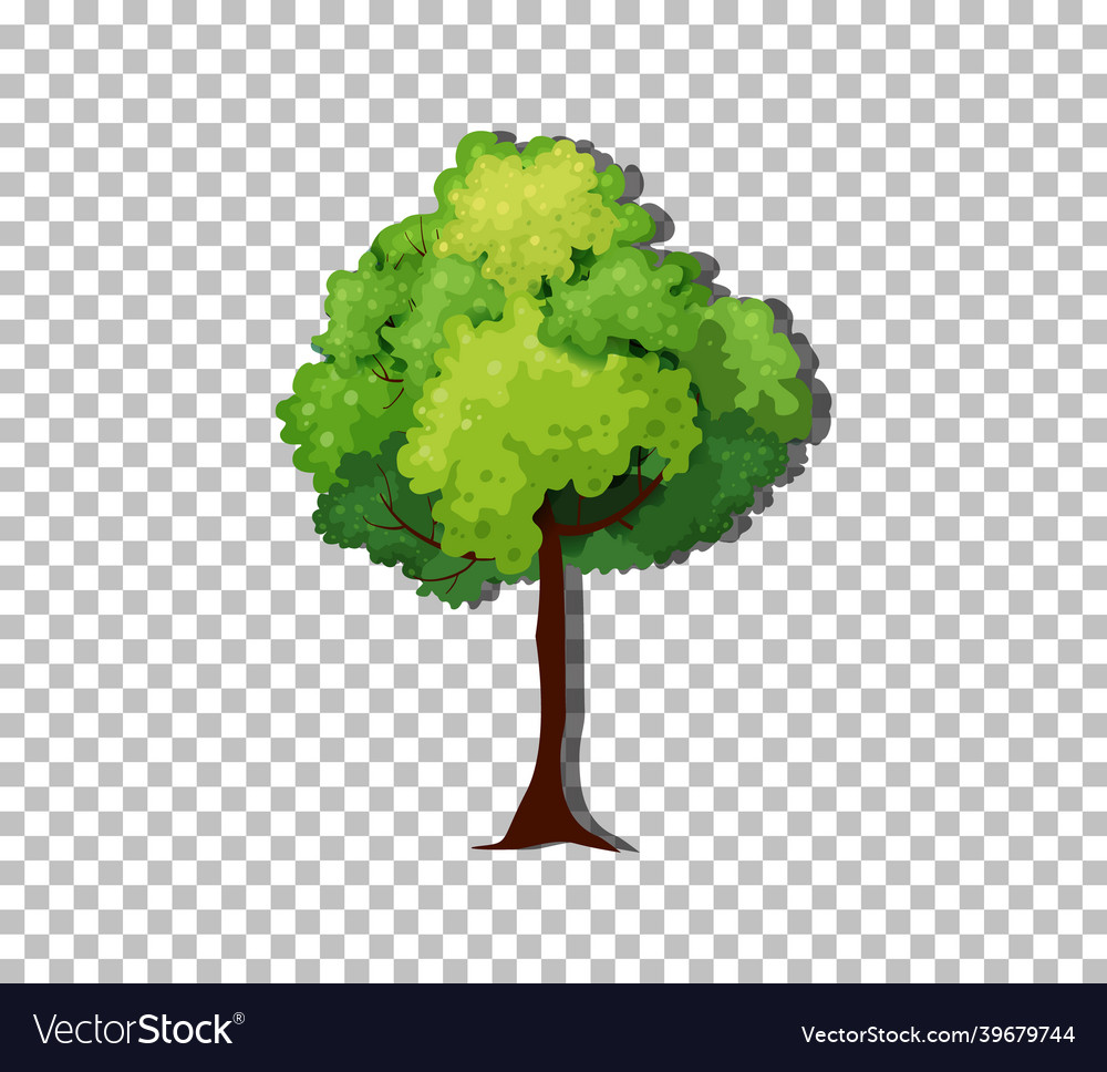 Tree on transparent background Royalty Free Vector Image