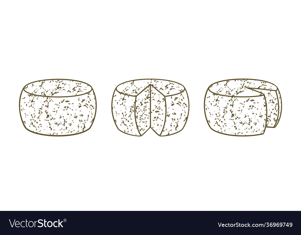 Cheese Royalty Free Vector Image - VectorStock