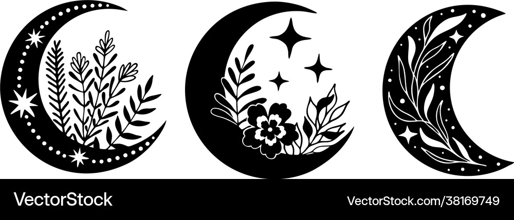 Set magic black moons with stars and flowers Vector Image