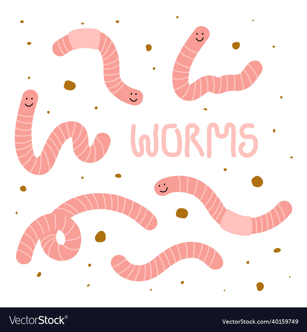 Worms Royalty Free Vector Image - VectorStock