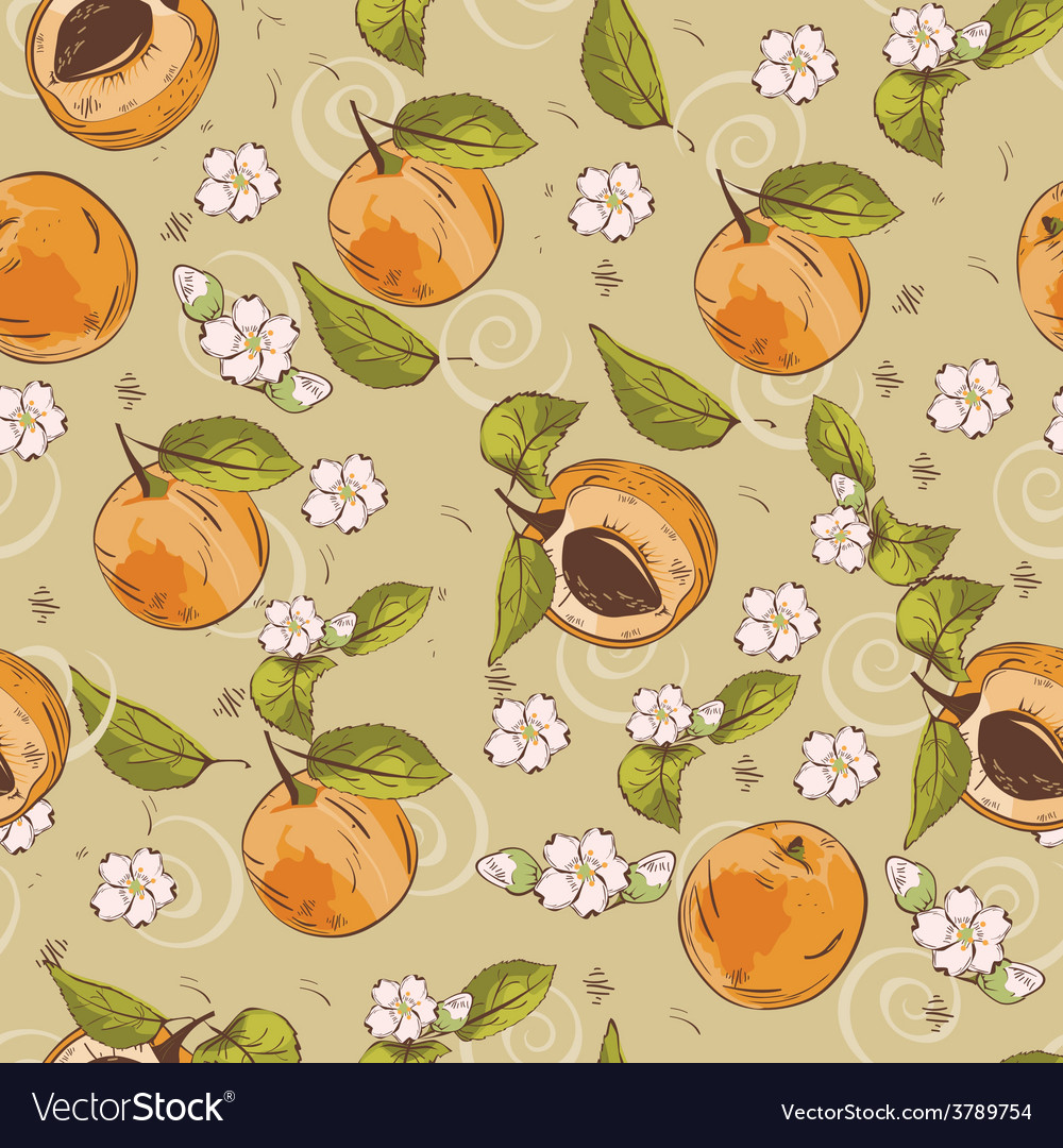 Apricot pattern Royalty Free Vector Image - VectorStock