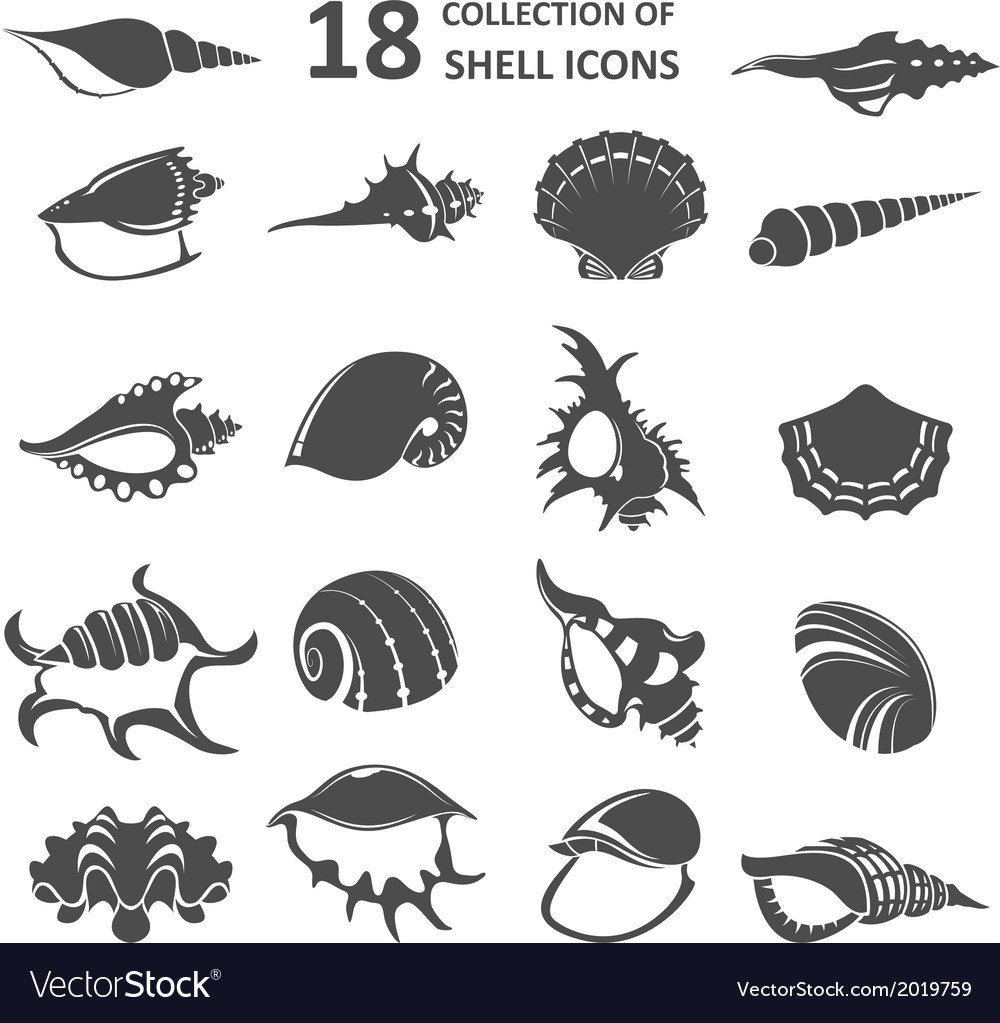 Collection shell icons Royalty Free Vector Image