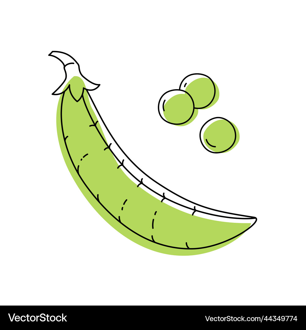 Doodle outline green pea with spot Royalty Free Vector Image