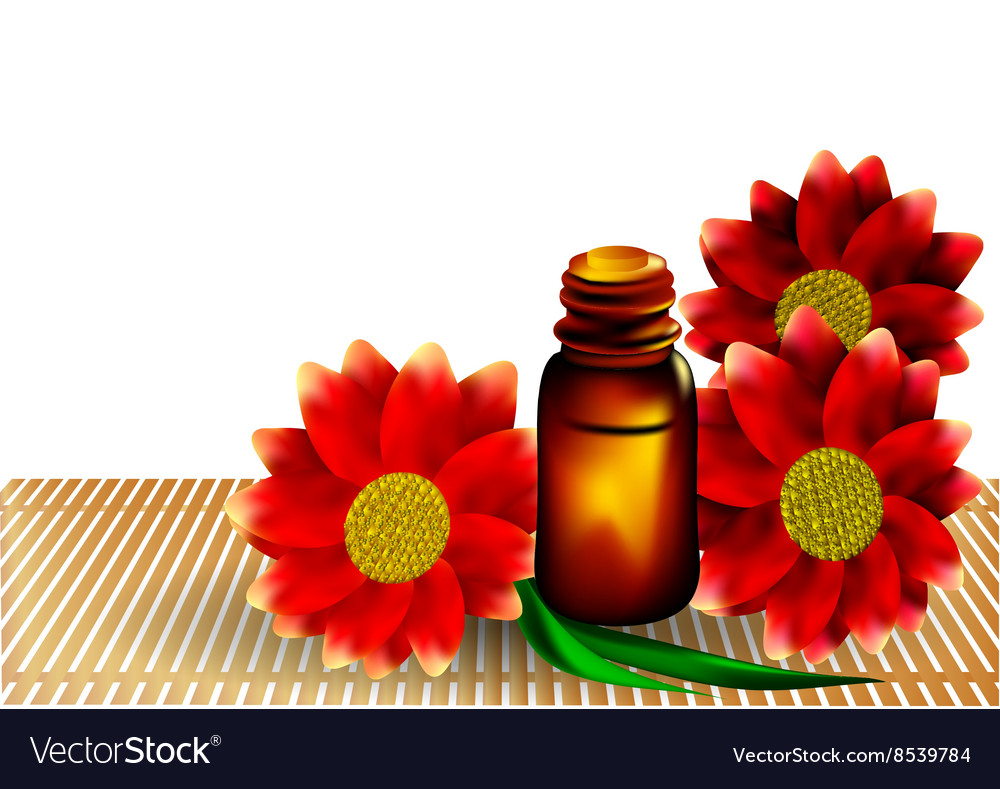 Aromatherapy Royalty Free Vector Image - VectorStock