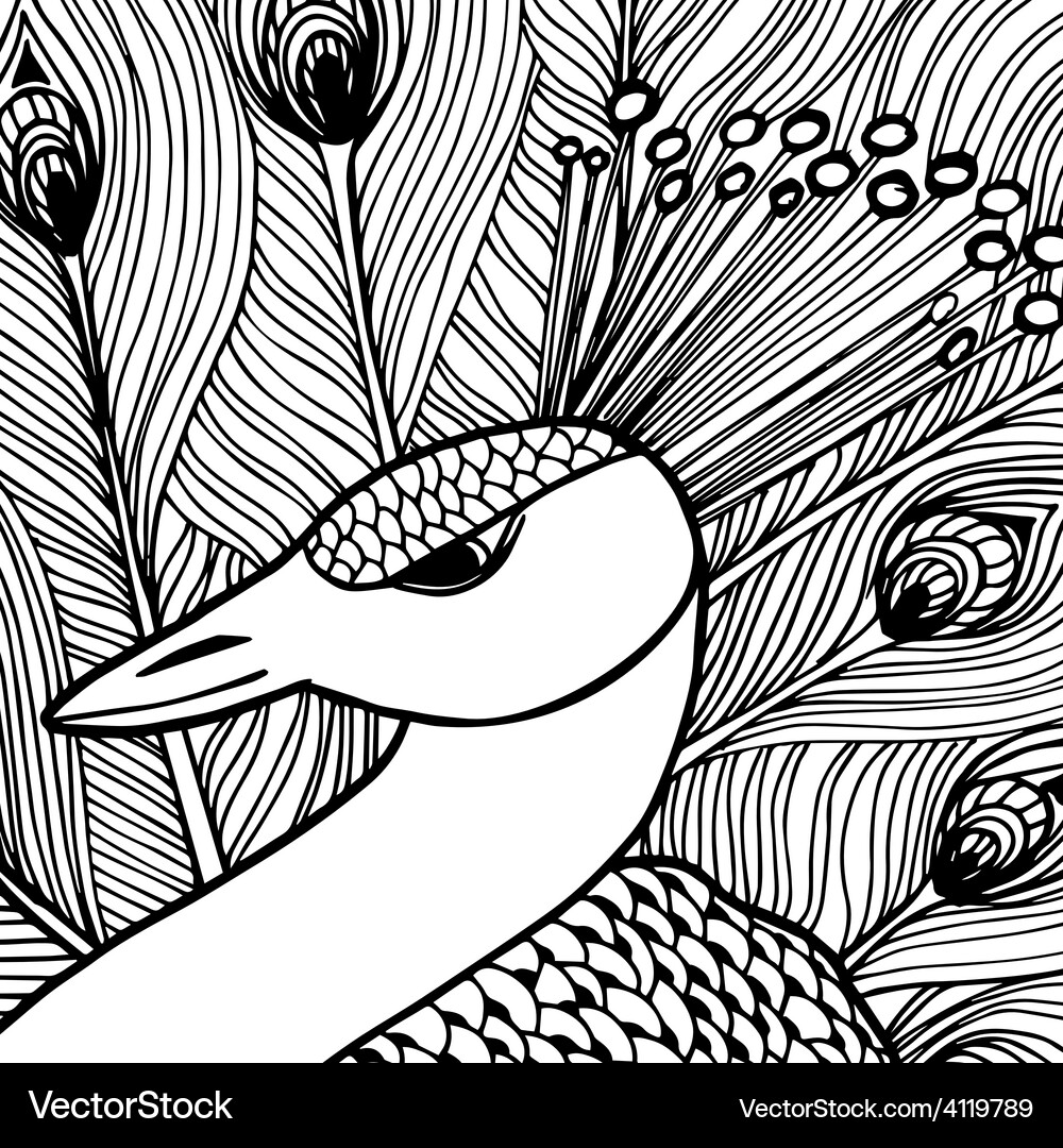 Decorative ornamental peacock doolle style Vector Image
