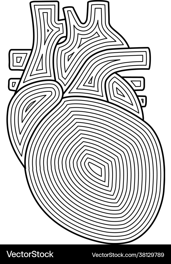 Human heart in drawn line style doodle Royalty Free Vector
