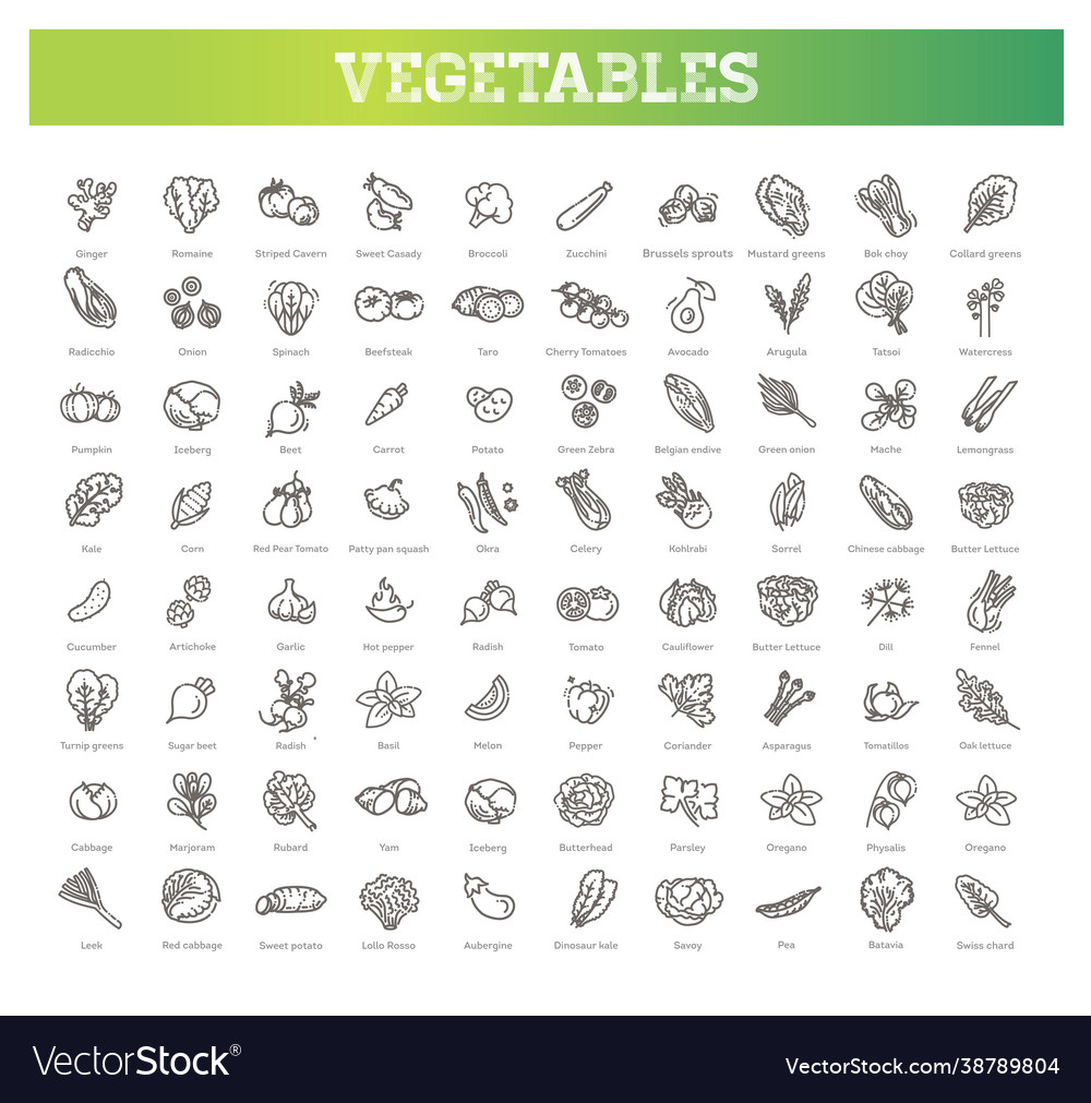 Basic vegetables thin line icon set Royalty Free Vector Basic vegetables thin line icon set Royalty Free Vector