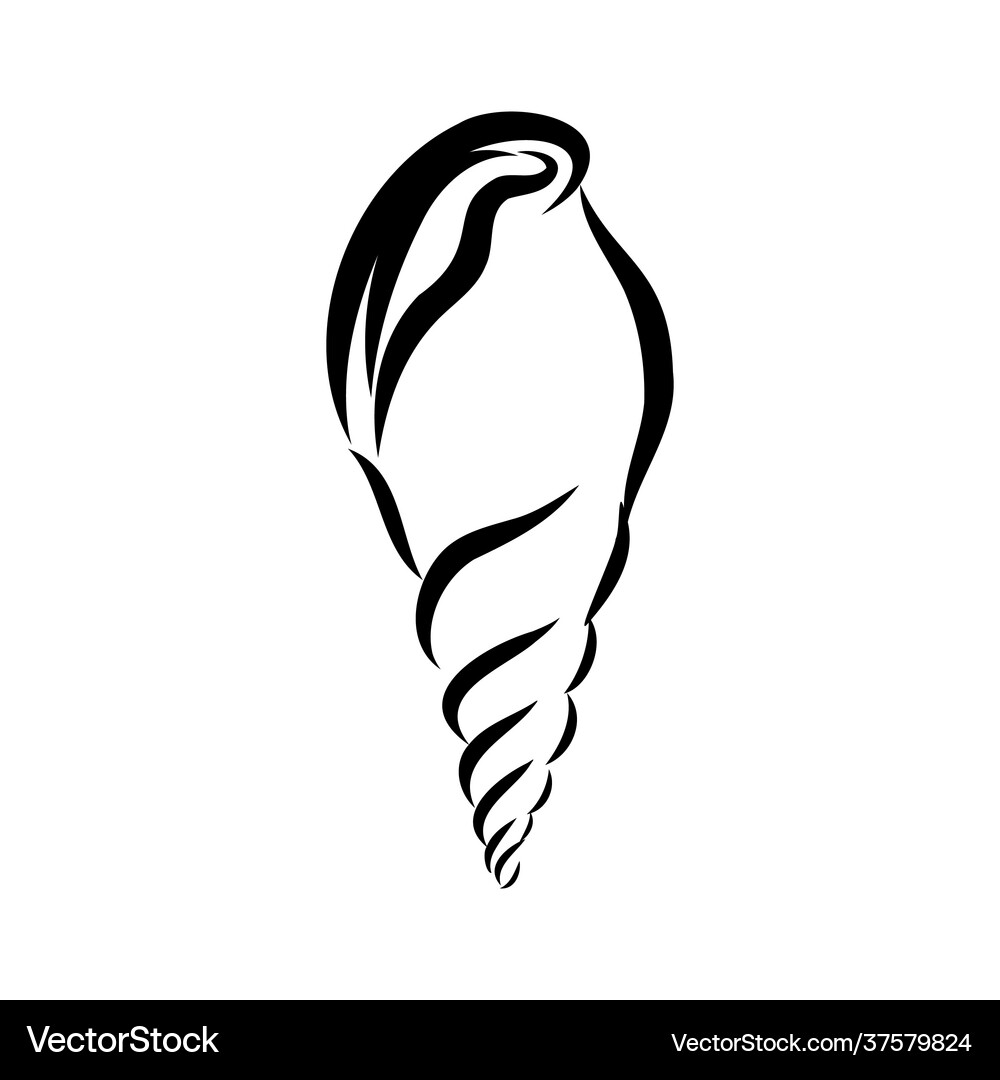Hand drawn set various seashell clam shell Vector Image