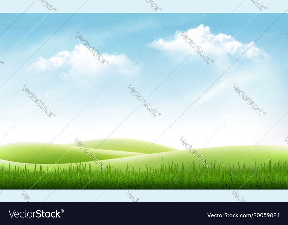 Nature Summer Background With Green Grass And Vector Image