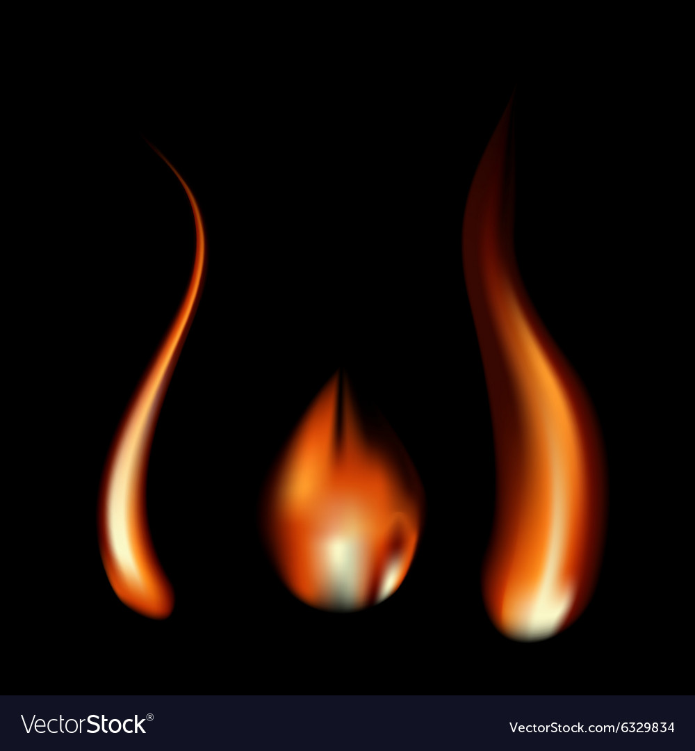 Burning flame fire Royalty Free Vector Image - VectorStock