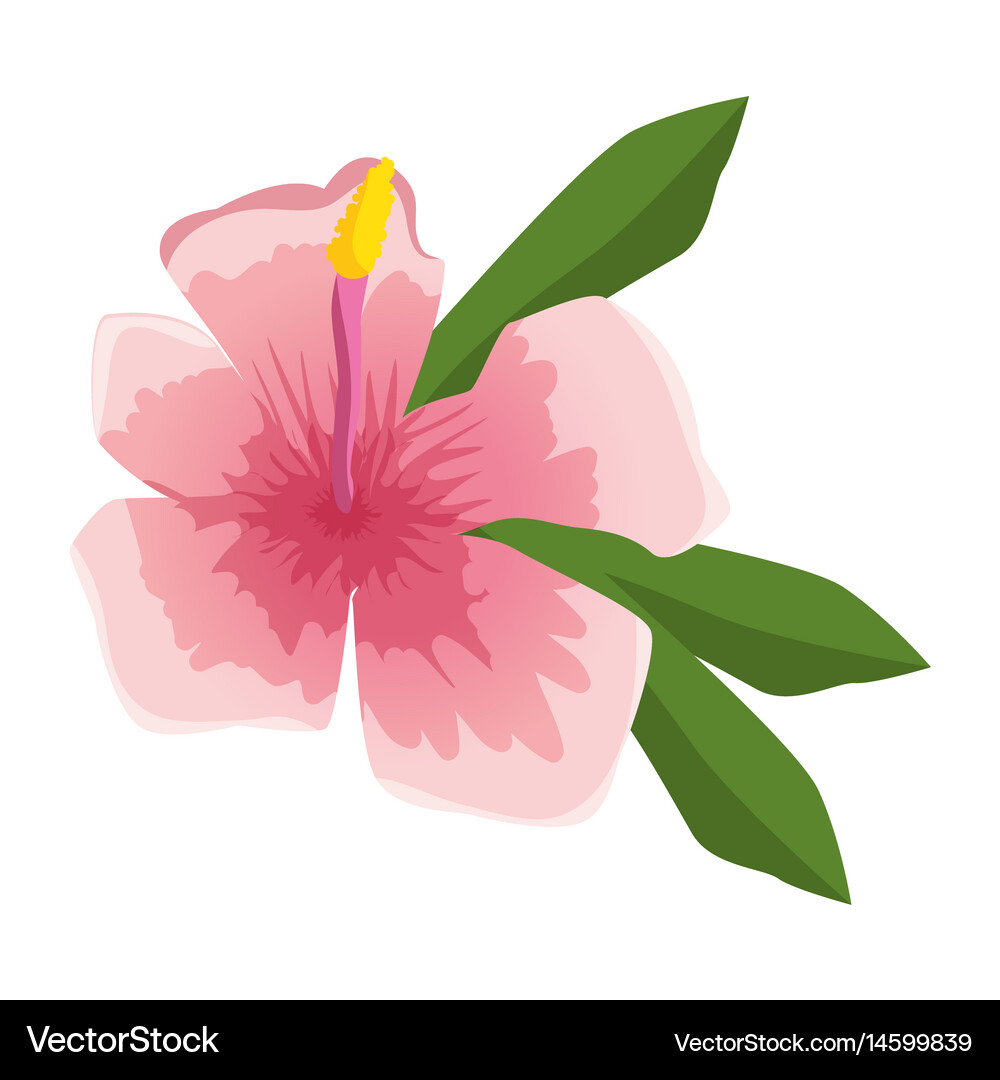 Tropical summer flowers decorative Royalty Free Vector Image