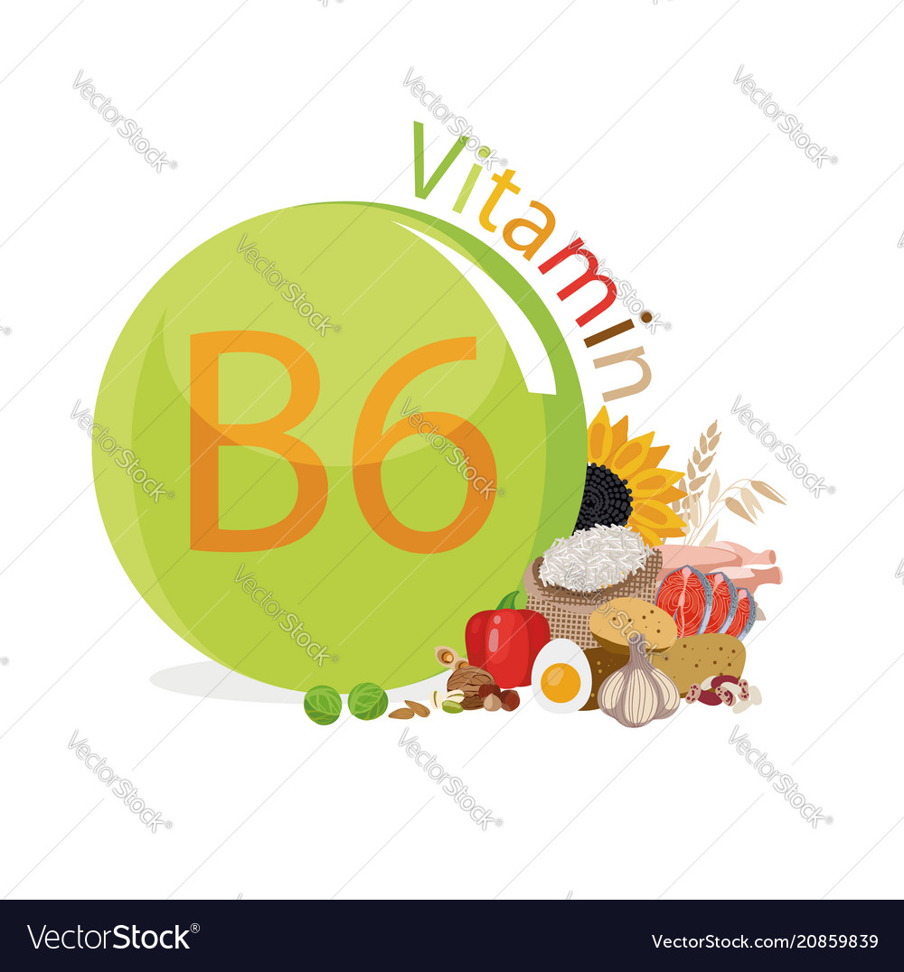 Vitamin b6 Royalty Free Vector Image - VectorStock Vitamin b6 Royalty Free Vector Image - VectorStock