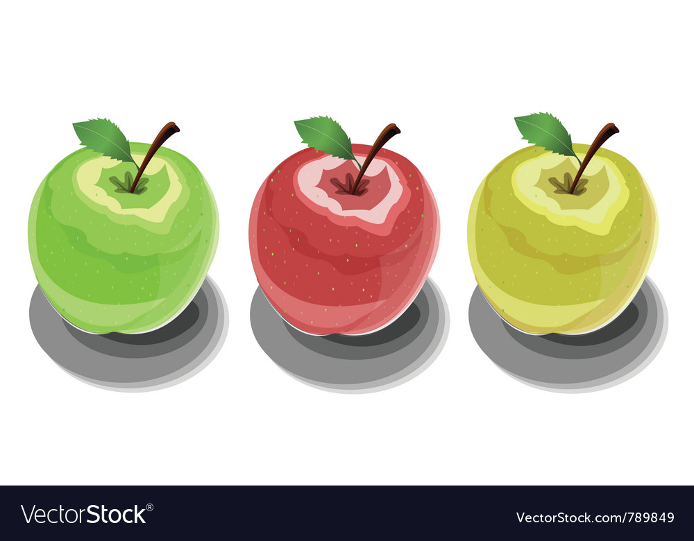 Apple Royalty Free Vector Image - VectorStock