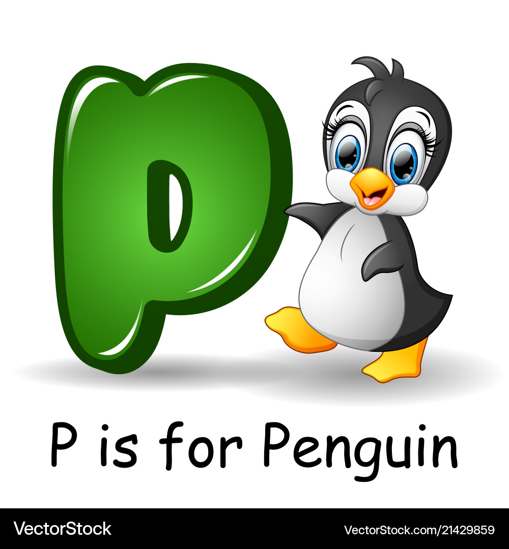 Animals alphabet p is for penguin Royalty Free Vector Image