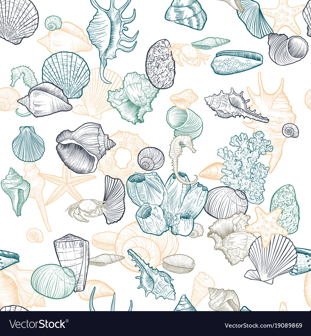 Seamless pattern with seashells Royalty Free Vector Image