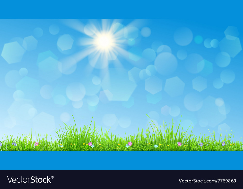 Spring background Royalty Free Vector Image - VectorStock