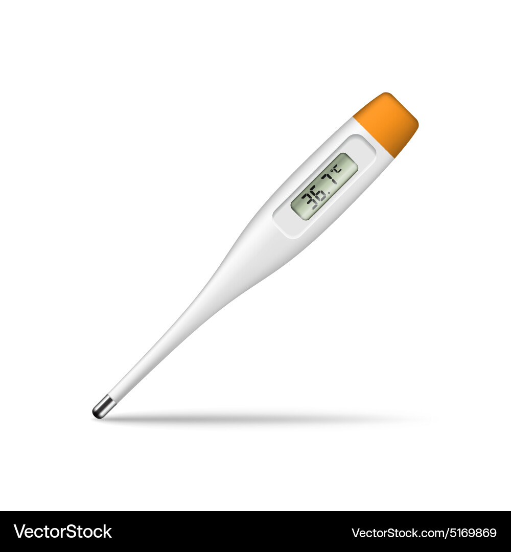 Thermometer Royalty Free Vector Image - VectorStock