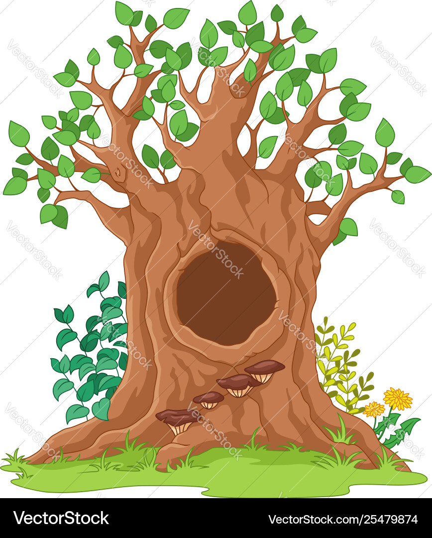 Old tree with hollow Royalty Free Vector Image