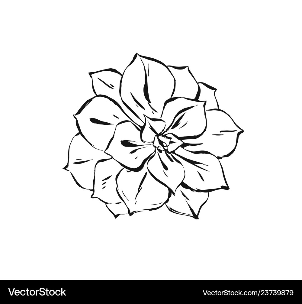 Hand drawn abstract artistic ink textured Vector Image