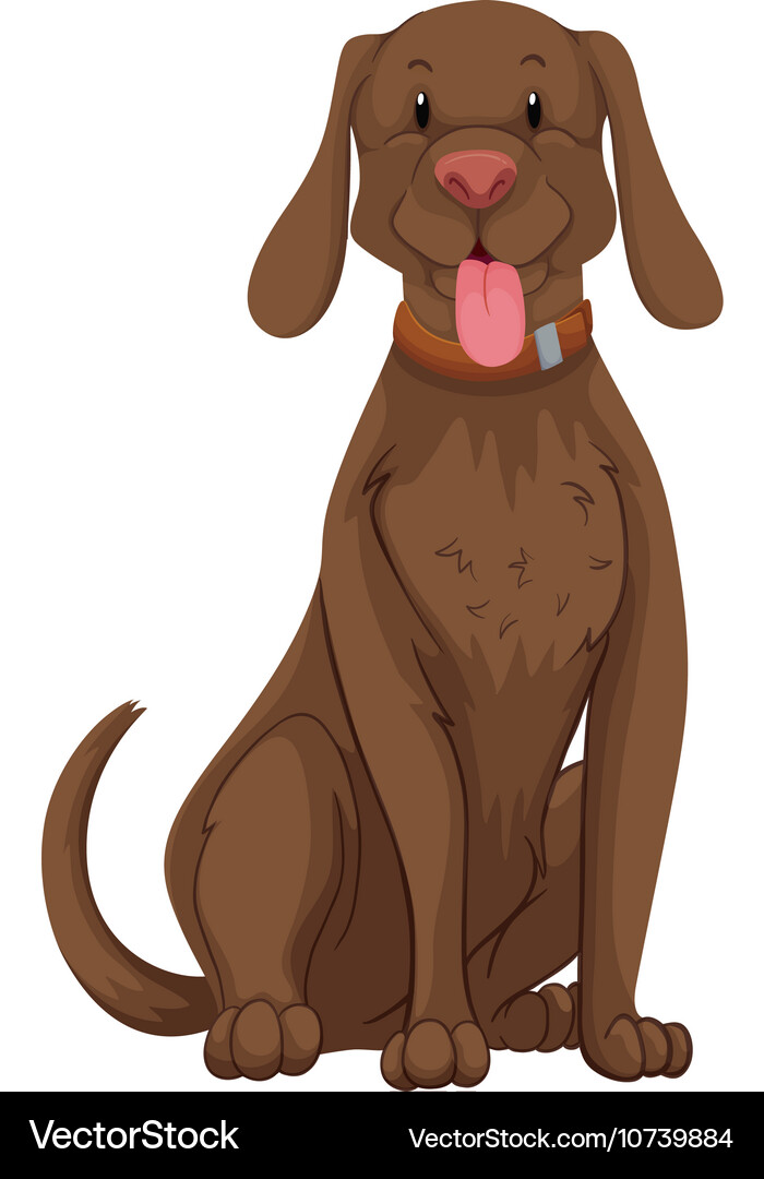 Cute dog with brown fur Royalty Free Vector Image