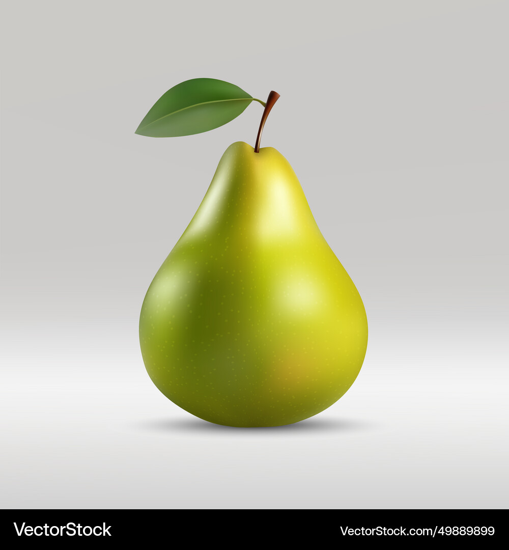 Pear isolated on white background Royalty Free Vector Image