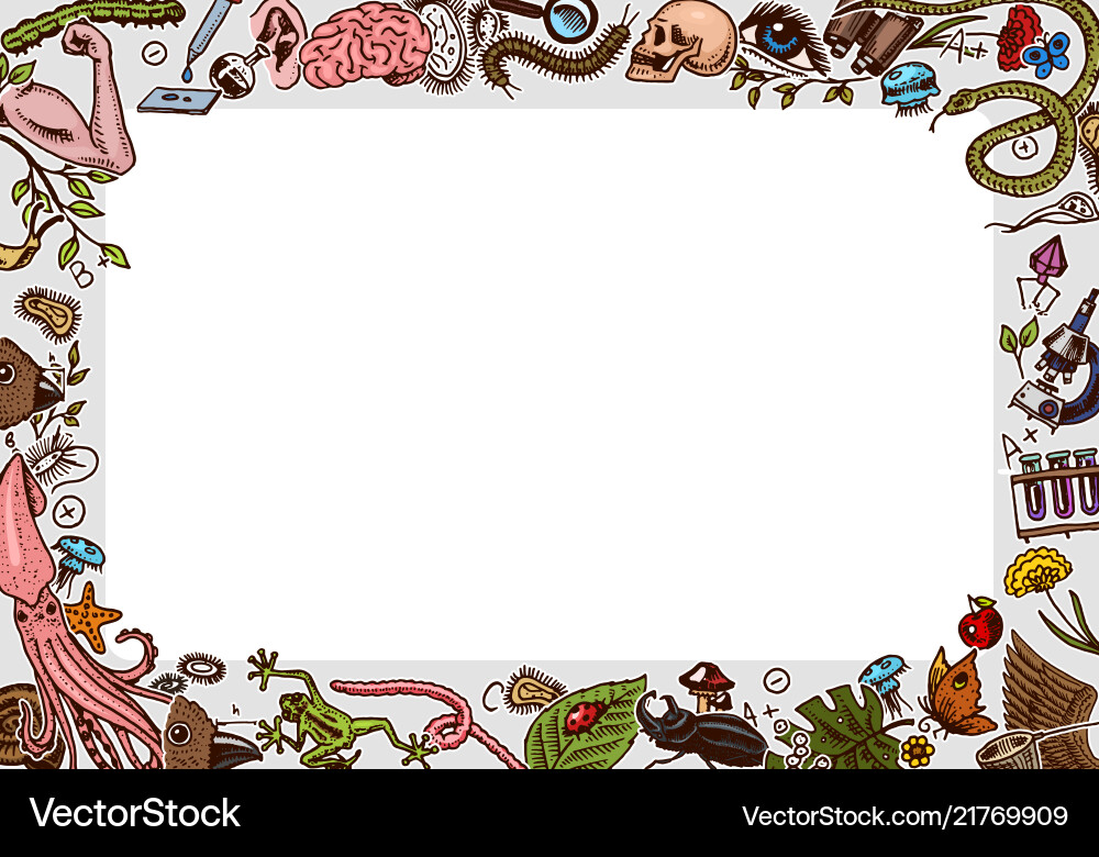 Scientific laboratory in biology icon set Vector Image