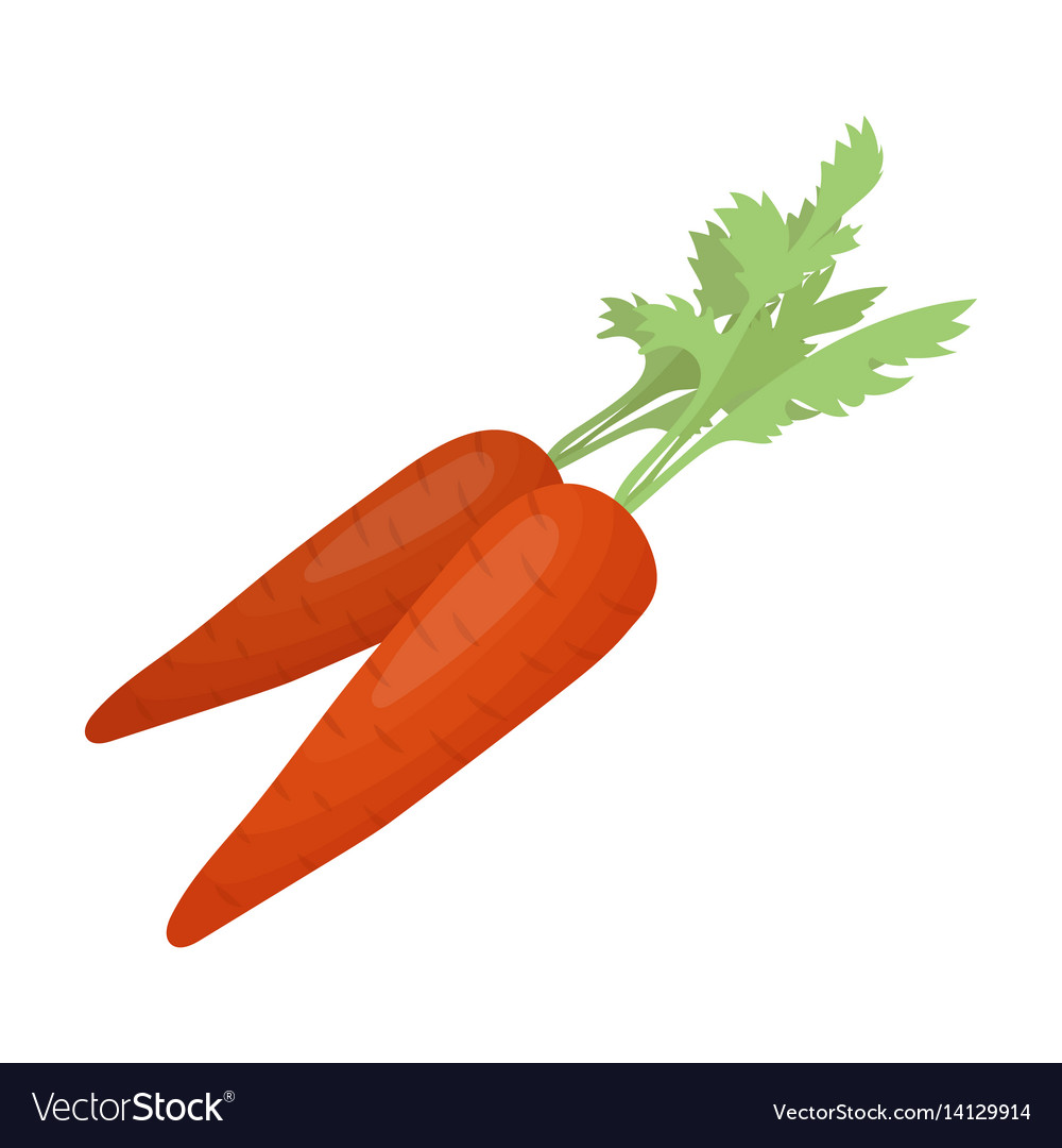 Carrots with foliage easter single icon in Vector Image