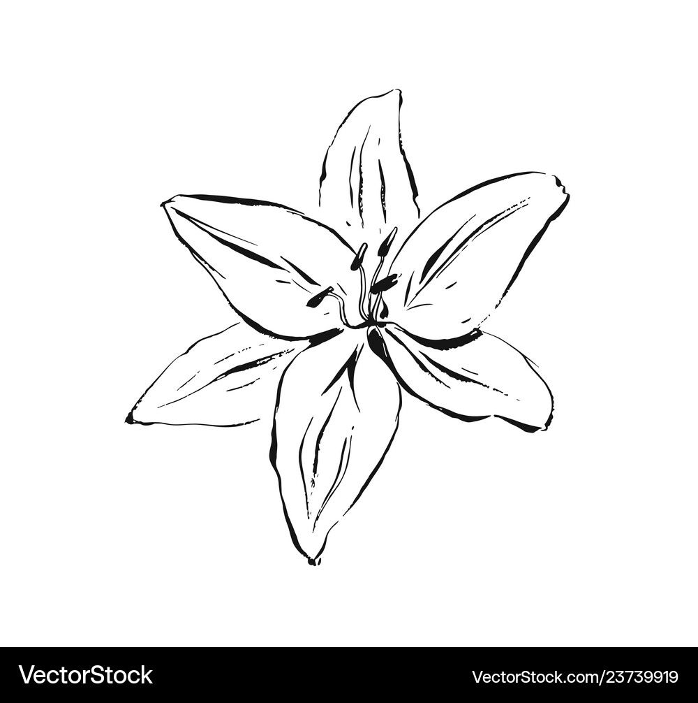 Hand drawn abstract artistic ink textured Vector Image