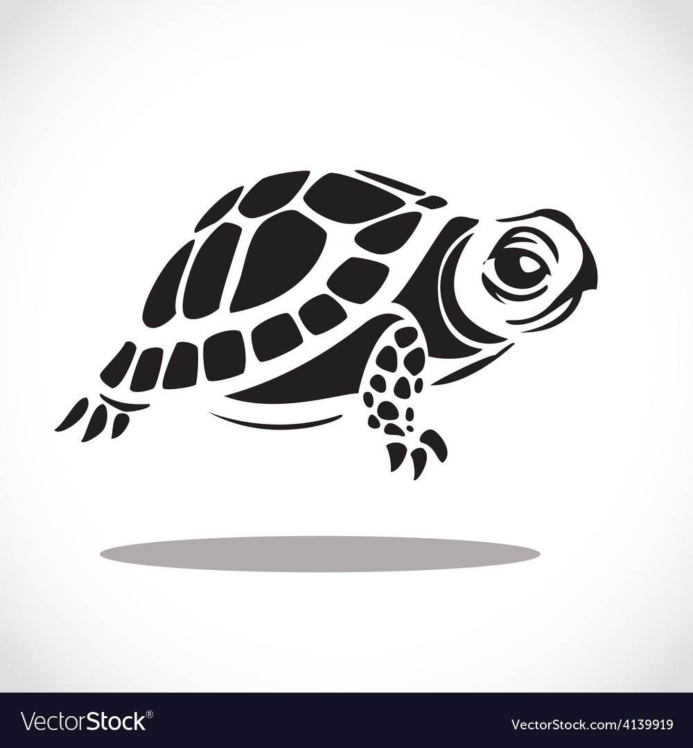 Turtle Royalty Free Vector Image - VectorStock