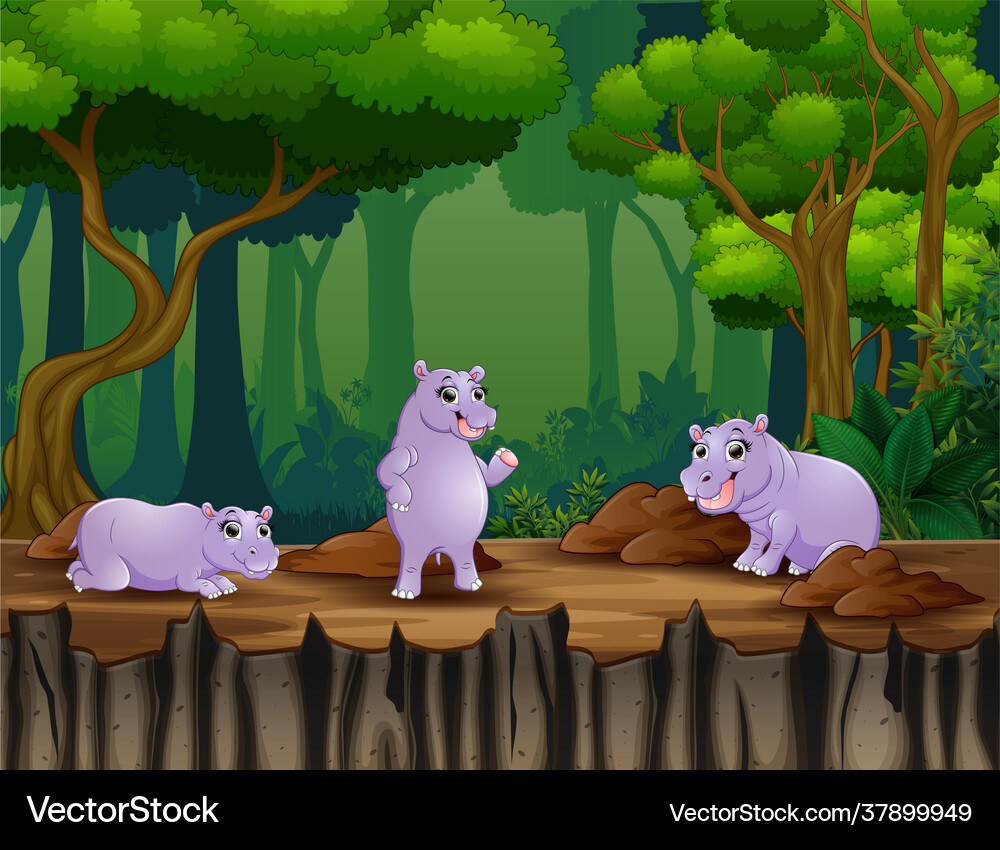Cartoon three hippo in forest background Vector Image