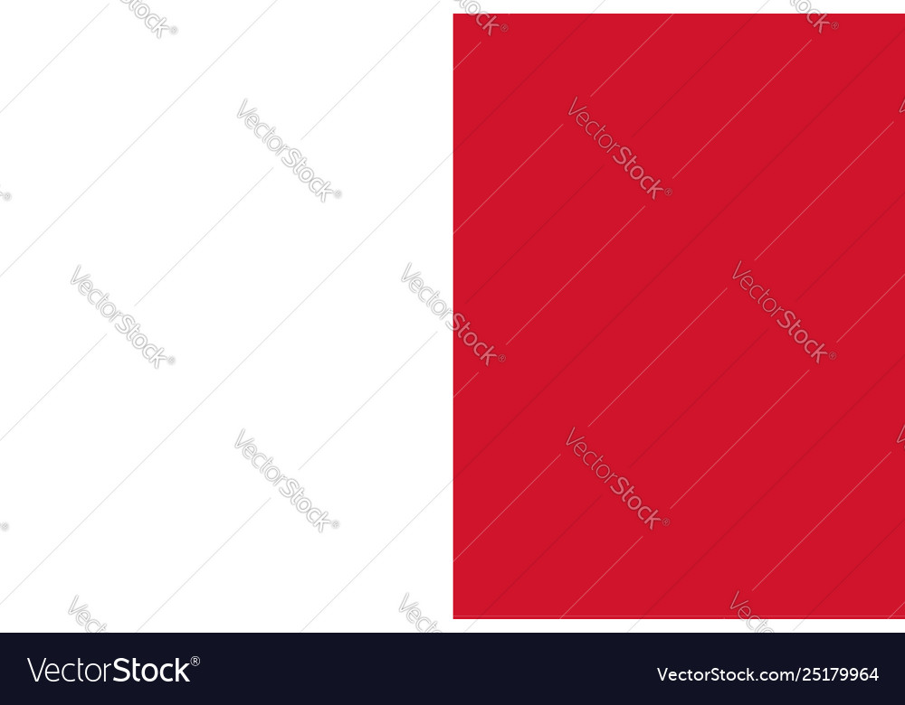 Flag rectangular shape Royalty Free Vector Image