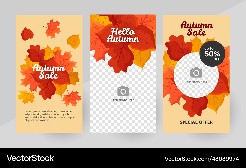 Social media hello autumn template design layout Vector Image