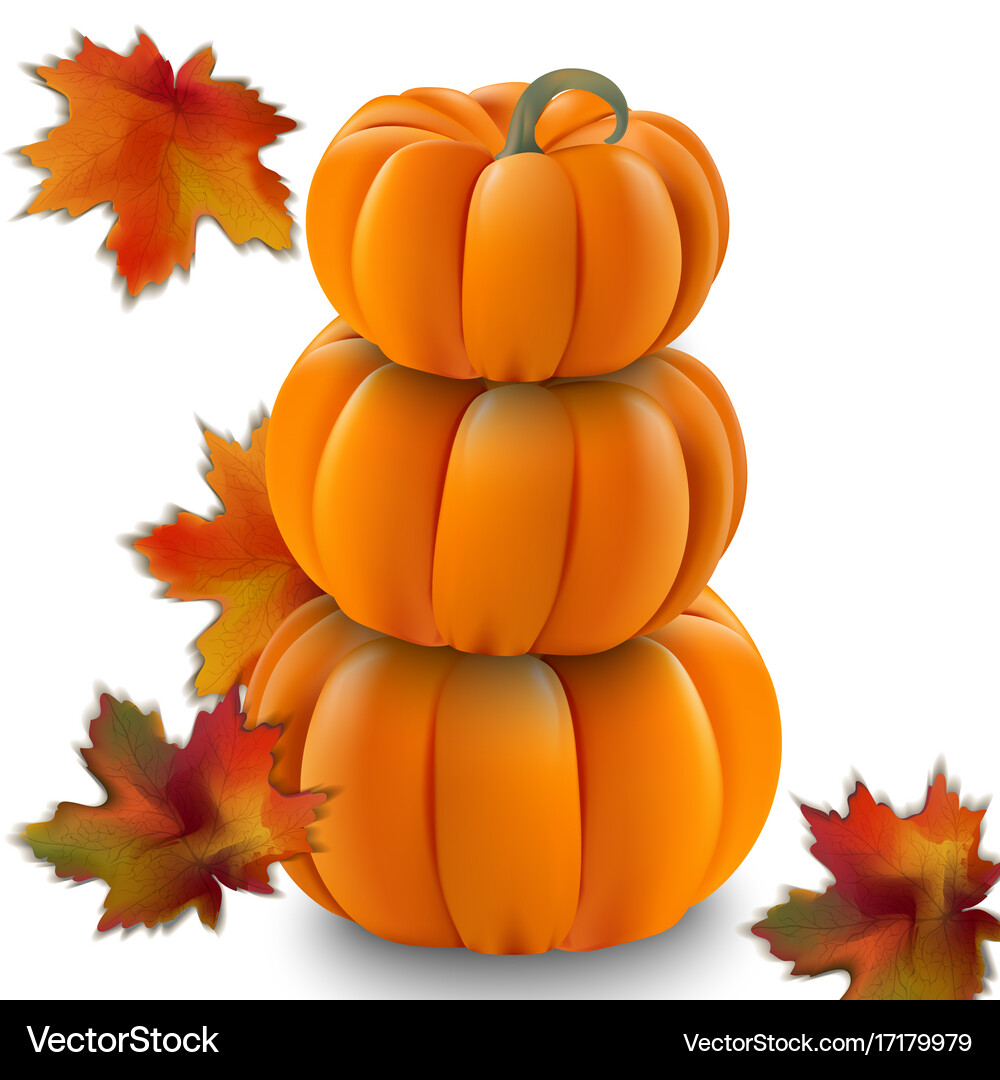 Pumpkin realistic on white Royalty Free Vector Image