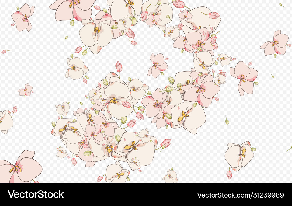 Purple orchid summer transparent Royalty Free Vector Image