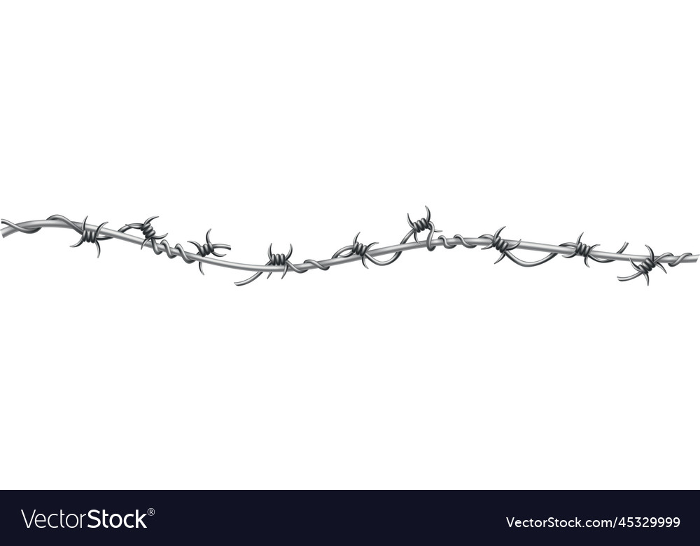 Barbed wire fencing strong sharply pointed Vector Image Barbed wire fencing strong sharply pointed Vector Image