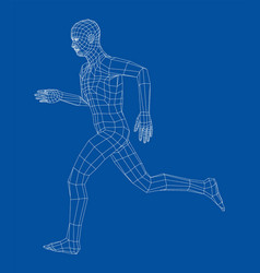 3d wireframe human body Royalty Free Vector Image