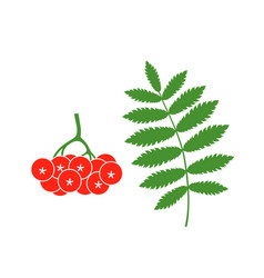 Rowan Vector Images (over 8,100)