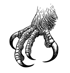 Bird Claw Vector Images (over 6,600)