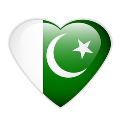 Pakistan flag button Royalty Free Vector Image