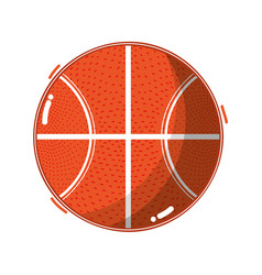 Basketball Royalty Free Vector Image - VectorStock