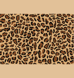 Leopard pattern design Royalty Free Vector Image