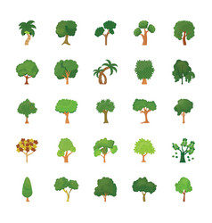 Set pine tree Royalty Free Vector Image - VectorStock